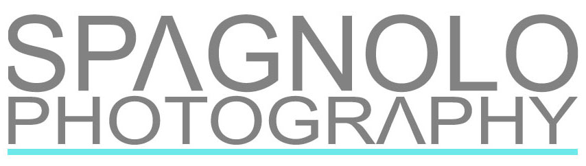 Spagnolo Logo